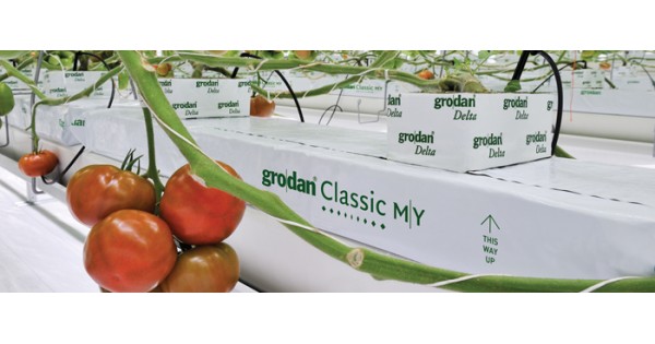 Grodan Flower Slabs 900x300x75